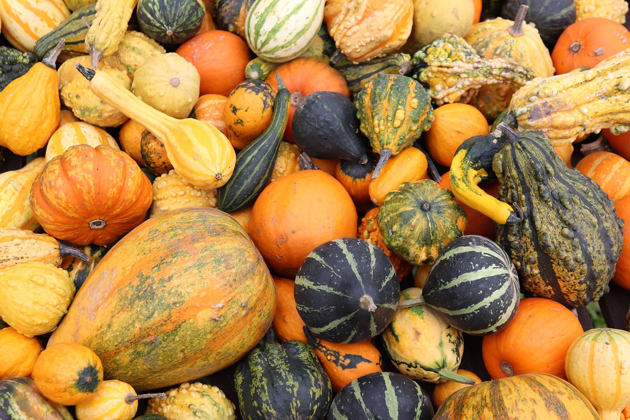 calabazas en otoño e invierno. Vitaminas y micronutrientes